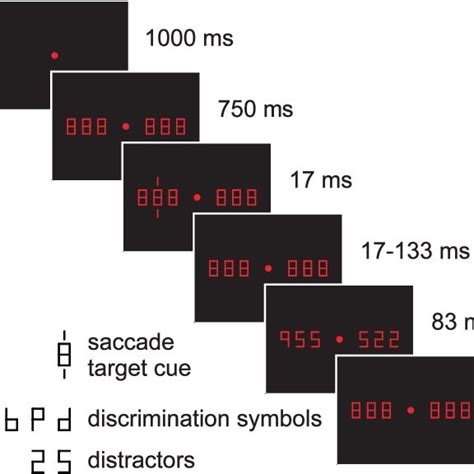 Meg Mvpa Decoding A Mean Mvpa Decoding Accuracy For Task And Outcome Download Scientific