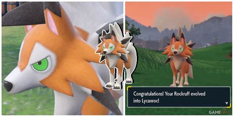 Pokemon Scarlet And Violet How To Evolve Rockruff Into Dusk Form Lycanroc