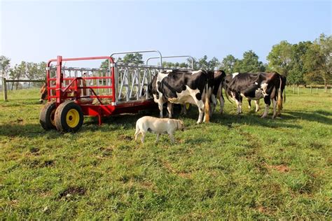 Пин от пользователя Farmco Manufacturing на доске Cattle Feeders