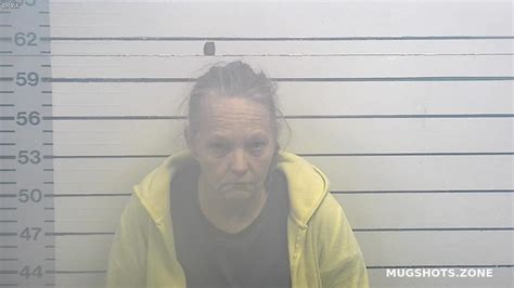 Setzer Sonya Marie 01272025 Desoto County Mugshots Zone
