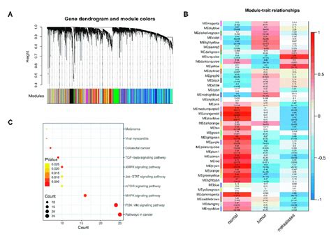 Identification Of Modules Associated With Clinical Information And
