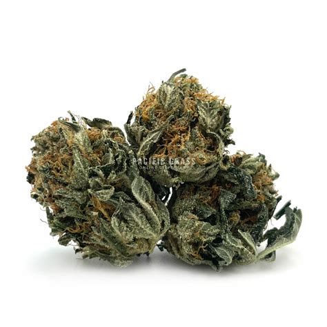 Buy Platinum Purple Kush Online In Canada Pacific Grass