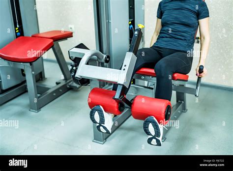 Leg Exercises Gym Female At Louis Silva Blog