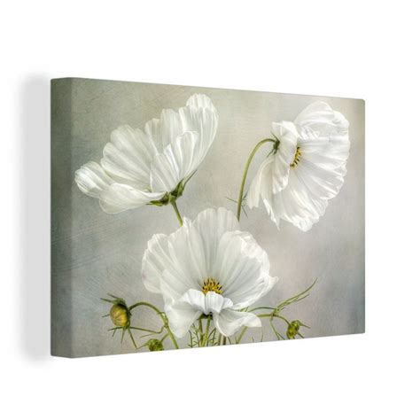 Onemillioncanvasses® Leinwandbild Blumen Stillleben Mohn Weiß