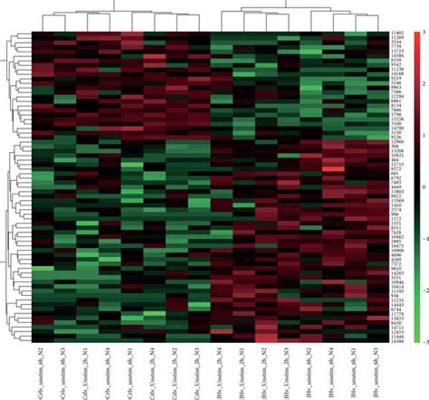 mrna degs analysis a heat map and b volcano map illustrations of