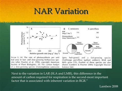 Relative Growth Rate Rgr Plant Physiology