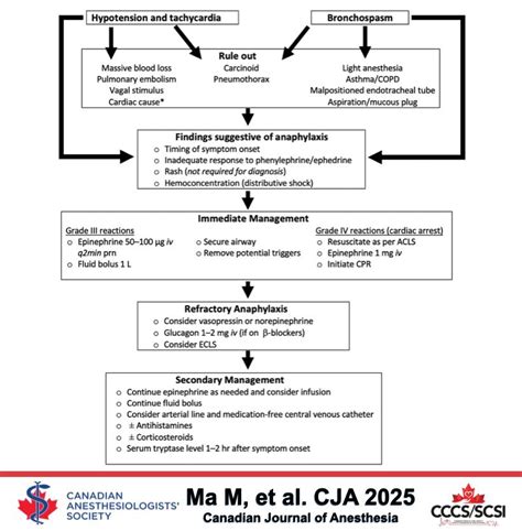 Perioperative Anaphylaxis The Lay Medical Man