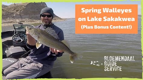Spring Walleyes On Lake Sakakawea Youtube