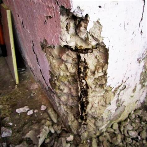 Proyecto De Ejecución Para Refuerzo Estructural En Pilares De Planta
