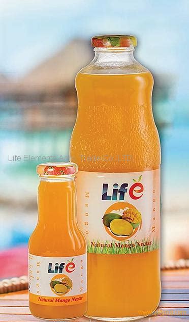 Life Mango Fruit Nectaregypt Life Price Supplier 21food