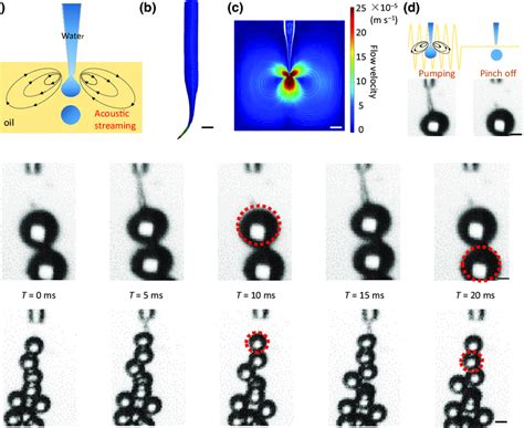Acoustic Controlled Microdroplet Generation A While The Acoustic Is Download Scientific