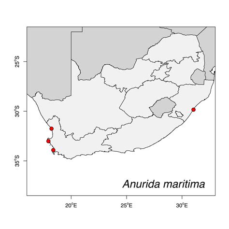 Anurida Maritima Map Collembola Of South Africa