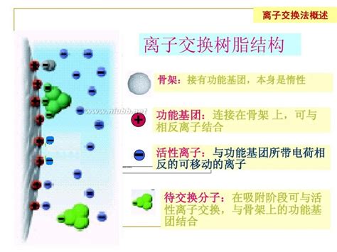 离子交换法 离子交换分离法