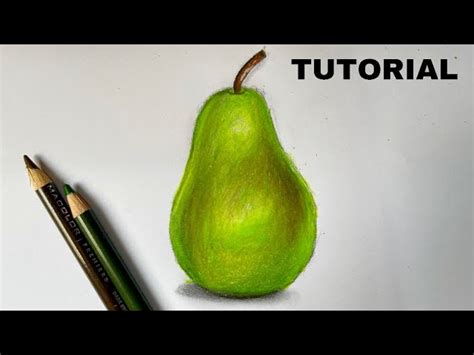 Pear Drawing Pencil