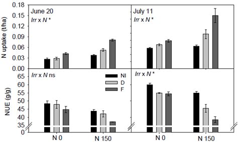 Nitrogen Uptake And Nitrogen Use Efficiency Nue In Relation To