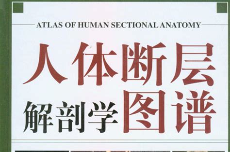 人體斷層解剖學圖譜 內容簡介 編輯推薦 作者簡介 圖書目錄 中文百科全書