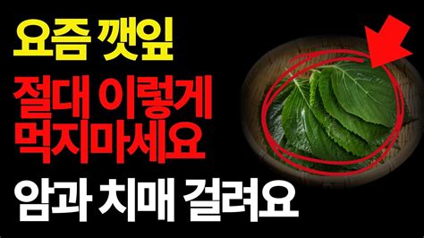 깻잎과 상극인 음식 5가지 절대 함께 먹지 마세요암 치매걸려요 Youtube