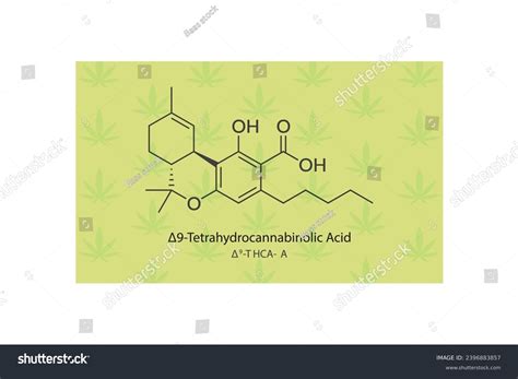 Thc Acid Molecular Skeletal Structure Cannabinoid Stock Vector Royalty Free 2396883857