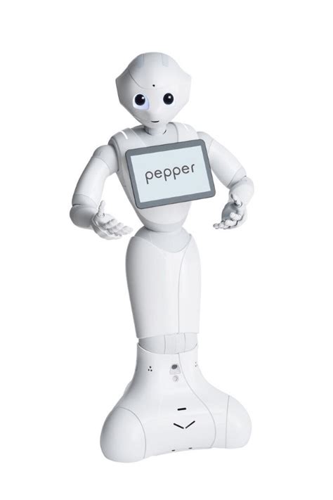 Pepper Permissions By Softbank Robotics Download Scientific Diagram