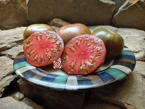 The Best Brad Gates Tomatoes Pink Berkeley Tie Dye Tomato Seed Bounty Hunter Seeds Rare