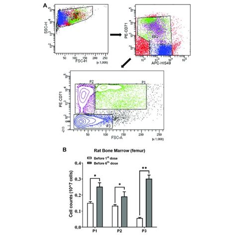A Gating Strategy Of The Flow Cytometry To Sort And Quantify