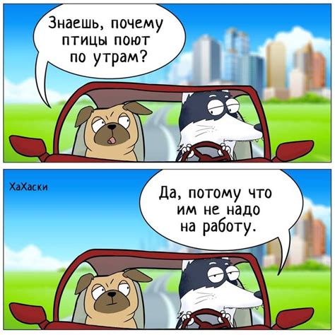 Pin on юмор
