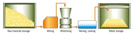 Schematic Representation Of The Pelletization Process And The Download Scientific Diagram