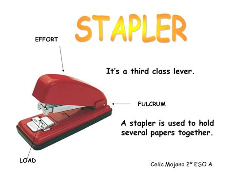 Second Class Lever Stapler