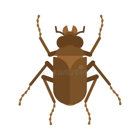 Bug Isolated Beetle Insect Vector Illustration Stock Vector Illustration Of Worm Nature