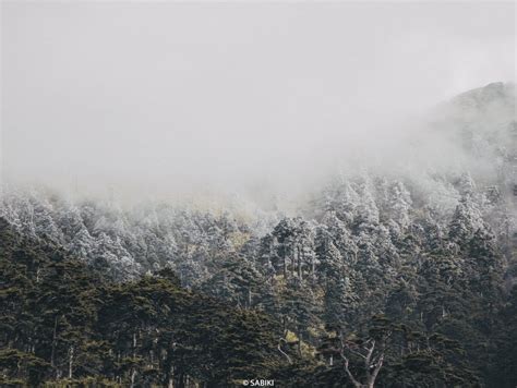 登山攝 29 北三段 能高安東軍縱走 霧淞沆碭 健行筆記