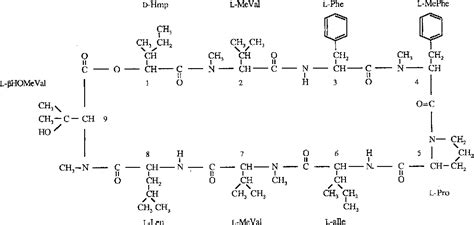 Figure 1 From Biological Properties Of Aureobasidin A A Cyclic