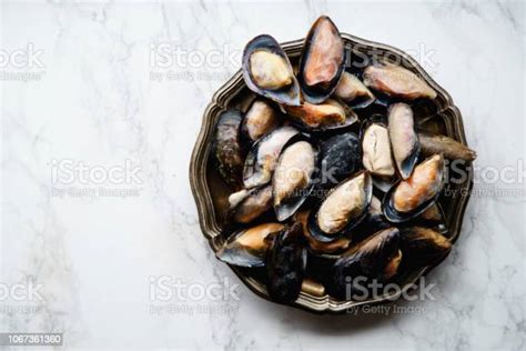 최고 보기 냉동된 홍합 흰색 대리석 바탕에 빈티지 금속 격판덮개에 공간 복사 0명에 대한 스톡 사진 및 기타 이미지 0명