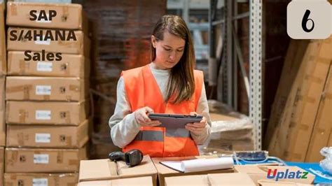 Bundle Combo Sap S 4hana Sales And S 4hana Logistics Training