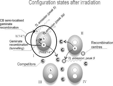 Tc Lc Complex Configurations Following Irradiation Download Scientific Diagram