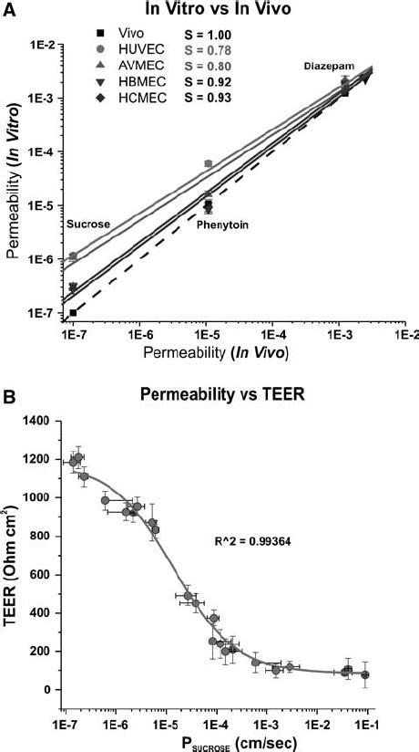 Correlation Between Permeability In Vivo And In Vitro In Div Bbb