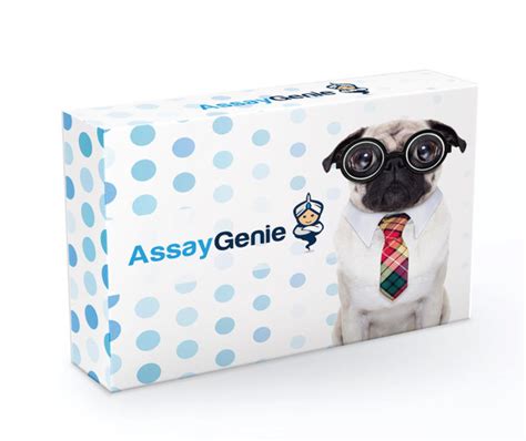 Human Irisin Elisa Kit Aees00150 Assay Genie