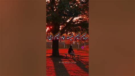 یا صاحب الزمانعج امامزمان حضرتمهدی Shorts اللهمعجللولیکالفرج