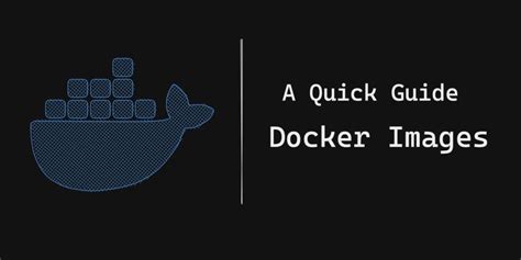 docker images a quick guide r devto