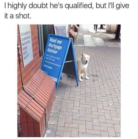 32 Utterly Random Memes Everyone Should Read This Morning
