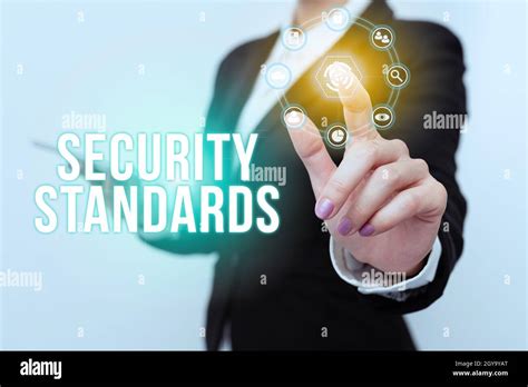 Text Caption Presenting Security Standards Business Overview The Scope