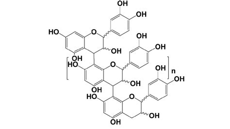 Chemical Structure Of Proanthocyanidins Download Scientific Diagram