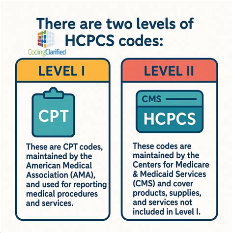 Coding Clarified Medical Terminology Coding Clarified Facebook