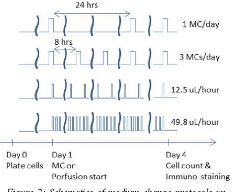 Figure 2 From Microfluidic Perfusion Culture Of Human Induced