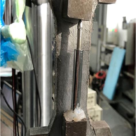 Uniaxial Tensile Testing Set Up And Specimen With Lvdt Download Scientific Diagram