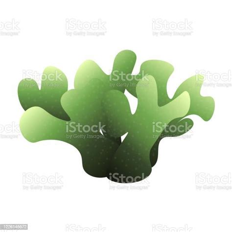 흰색 배경에 고립 된 바다 녹색 산호 디자인과 장식을위한 스톡 벡터 일러스트레이션 0명에 대한 스톡 벡터 아트 및 기타 이미지