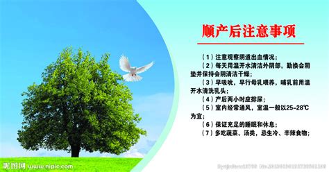 顺产后注意事项设计图 PSD分层素材 PSD分层素材 设计图库 昵图网