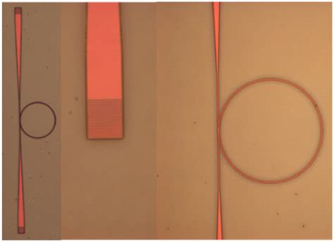 Optical Microscope Image Of The Pecvd Srn 45um Bend Radius All Pass Download Scientific Diagram