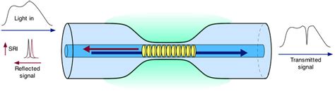 4 Etched Fiber Bragg Grating Refractometer Download Scientific Diagram