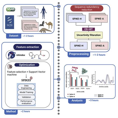 Spikes Identification Of Physicochemical Properties Of Spike Proteins