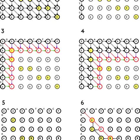1 Dynamic Programming Path Graphs For The Needleman Wunsch Algorithm